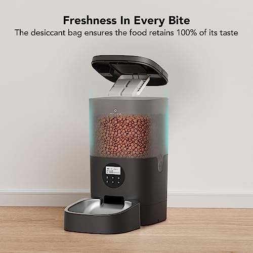 The 30 Best Automatic Dog Feeders with Timer of 2025 [Verified ...