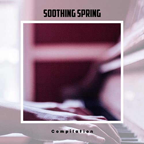 Amazon.co.jp: Soothing Spring Compilation : VARIOUS ARTISTS: デジタルミュージック
