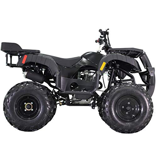 X-PRO Adult ATV Quad Four Wheelers 250 Utility ATV Full Size ATV Quad ...