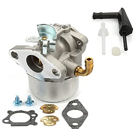Amazon.com : Owigift Carburetor Replaces 215369 223470 275160 214706 ...