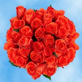 Amazon.com : 100 Orange Roses Impulse Roses : Fresh Cut Format Rose ...