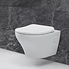 Kohler Apt Wall-hung Round-front Toilet