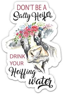 Amazon.com - Don't Be A Salty Heifer Sticker - 3" Laptop Sticker ...