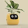 Amazon.com: TPHRAVAL Intelligent flower pot, electronic bud ...