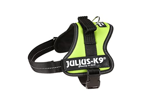 Julius K9 Mini Mini – Die 15 besten Produkte im Vergleich ...