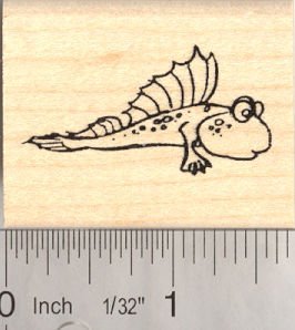 10 Best Mudskipper Gear: The Ultimate Buying Guide for Fish Lovers ...