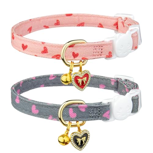 Cute Cat Collars – The 15 best products compared - Wild Explained
