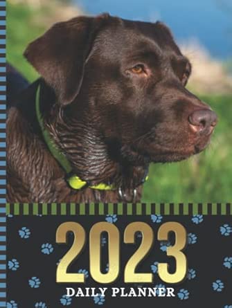 2023 Daily Planner Hardcover: 8.5x11 Large Dated - One Page Per Day ...
