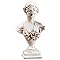Amazon.com: 8.6 Inch Greek Statue of Venus Goddess, Classic Roman Greek ...