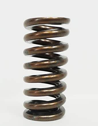 Amazon.com: DIE SPRINGS GOLD EXTRA HEAVY DUTY : Industrial & Scientific