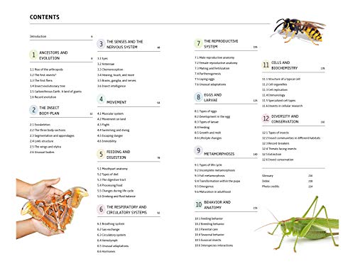 Snapklik.com : How Insects Work: An Illustrated Guide To The Wonders Of ...