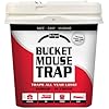Amazon.com : 2-Pack Little Bucket Mouse Trap - Complete Kit : Patio ...