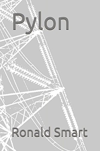 Pylon: Amazon.co.uk: Smart, Mr Ronald: 9781973421207: Books