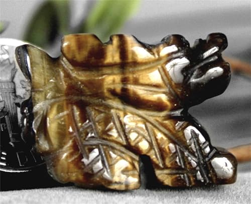 Amazon.com: Miniature Dragon Hand Carved Tiger's Eye Gemstone Totem ...