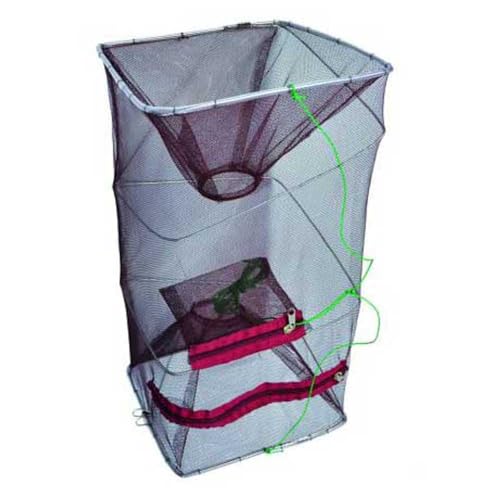 Quoi Mettre Dans Une Nasse A Poisson – Les 15 meilleurs produits dans ...