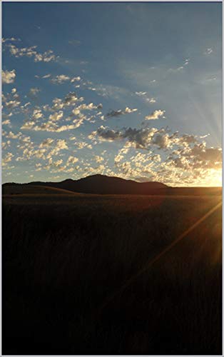 Tools for the Disheartened - Kindle edition by Rubino, Alexander ...