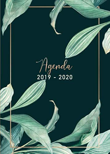 Amazon.in: Buy Agenda 2019/2020: 17 mois journalier 2019-20 - format A5 ...