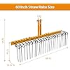 Amazon.com : GarveeTech 60 Inches Pine Straw Rake, 3 Point Hitch ...