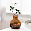 Amazon.com: Torre & Tagus Solid Color Round Art Glass Vase for Flowers ...