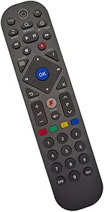 Replacement Remote Control for Manhattan T2-R/ T2 Recorder: Amazon.co ...