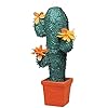 Amazon.com: Cactus Pinata : Toys & Games