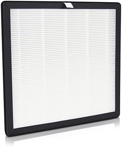 Amazon.com: 3-Stage True HEPA Filter Compatible with AMEIFU G3, VEWIOR ...