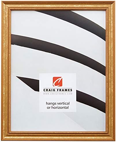 Amazon.com - Craig Frames 24x36 Poster Frame, Ornate Gold Wood, Frame ...