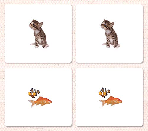 Pets Matching Cards: Maitri Learning: 9781606290750: Amazon.com: Books