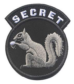 Navy Secret Squirrel