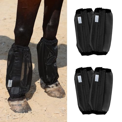 10 Best Horse Fly Boots [2025]