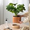 Amazon.com : Chubacoo Self Watering Ceramic Planter: 8 Inch Plant Pot ...