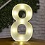 anso Alphabet LED Letters Light Up Numbers White Plastic Letters ...