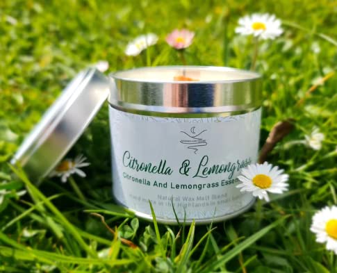 Citronella Candle, Citronella Scented Candle, Indoor and Outdoor Candle ...
