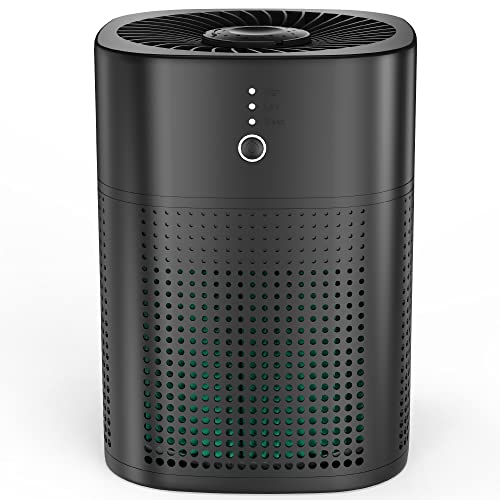 Air Purifier for Bedroom, H13 True HEPA Filter Air Purifier, 360° Air ...