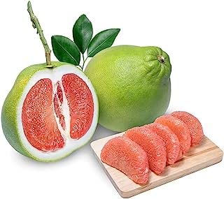 ShopGreen Hybrid Sweet Giant Pomelo Batabi Lemon Fruit Plant (Air ...
