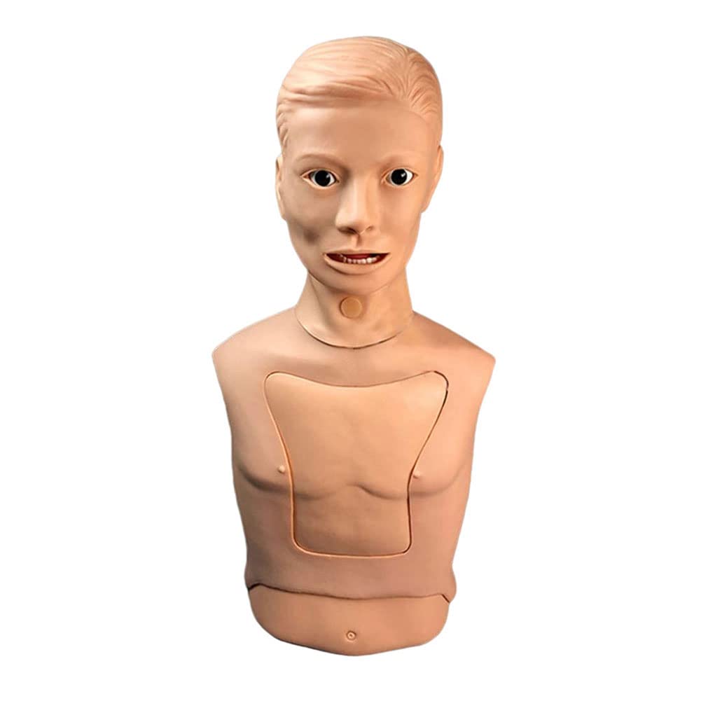 Buy YZDKJDZ Half Body Manikin Teaching Models - Nasotric Tube and The ...