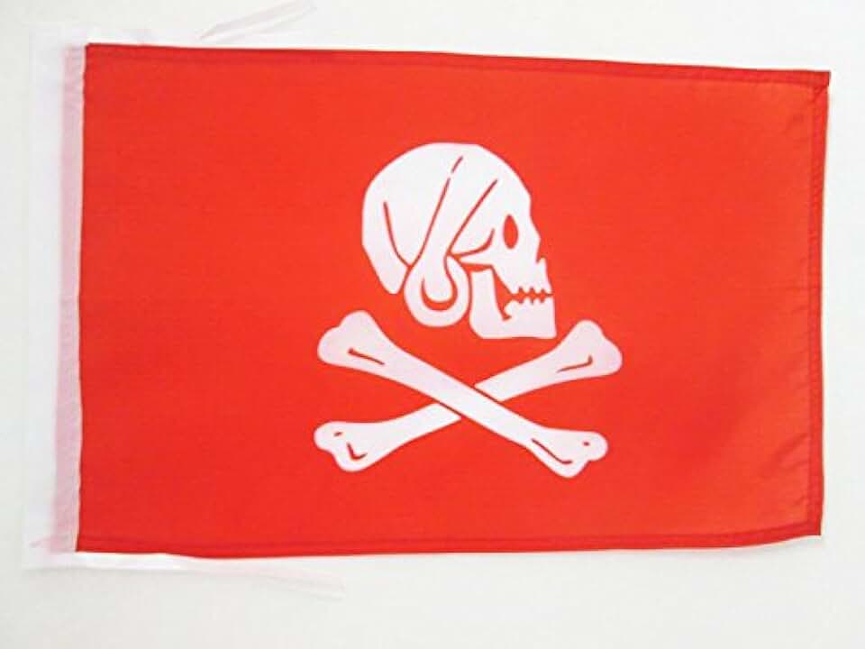 Amazon.ca: small pirate flag