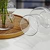 Amazon.com: ViViTOP Glass Vase Set of 2, 7 Inch Transparent Vases for ...