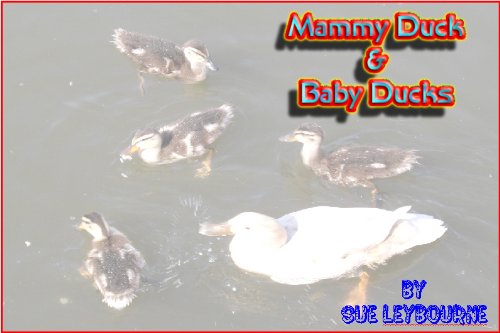 Mummy duck and Baby ducks eBook : Leybourne, Susan: Amazon.ca: Books