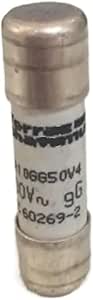 Amazon.com: HFISWSAI 10pcs Fuses FR10GG50V0.5 C211027 FR10GG50V1 ...