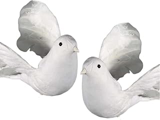 Understanding The Fledging Process Of Mourning Doves | PetShun