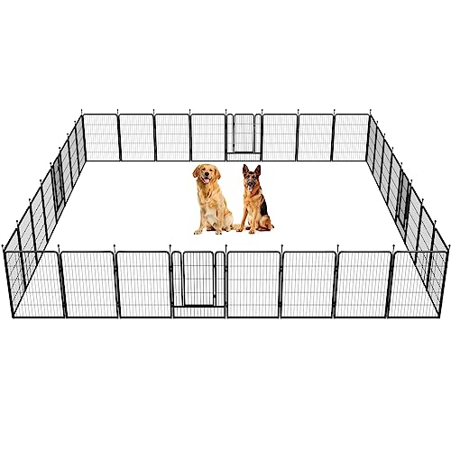 Maximize Outdoor Fun: Exploring the World of Dog Runs | My Little And Large