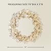 Amazon.com: HolidayTree Handcrafted 19" Capiz Shell Wreath – Shimmering ...
