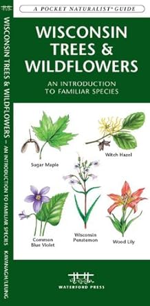 Wisconsin Trees & Wildflowers: An Introduction to Familiar Species (A ...