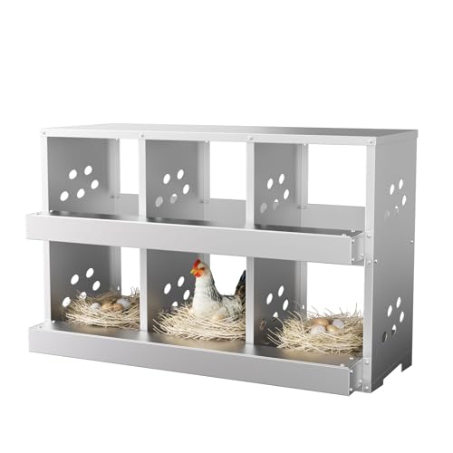 Les dimensions et tailles d'un pondoir pour poules