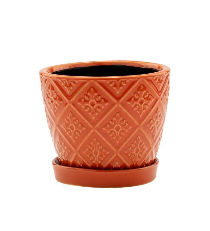 Amazon.com : Napco Stamped Crusade Design Burnt Orange 4.25 x 4.75 ...
