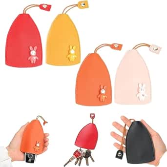 Vera Charms Winkkey - Protective Pull-Out Key Case, Creative Large ...