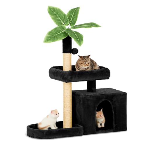 Black Cat Tree – The 15 best products compared - Wild Explained