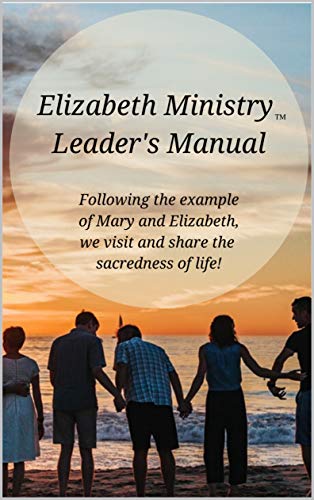 Elizabeth Ministry Leader's Manual - Kindle edition by Hannemann ...