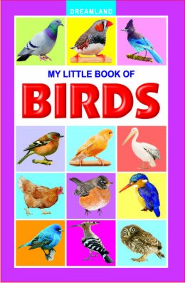 Buy My Little Book of Birds Book Online at Low Prices in India | My ...